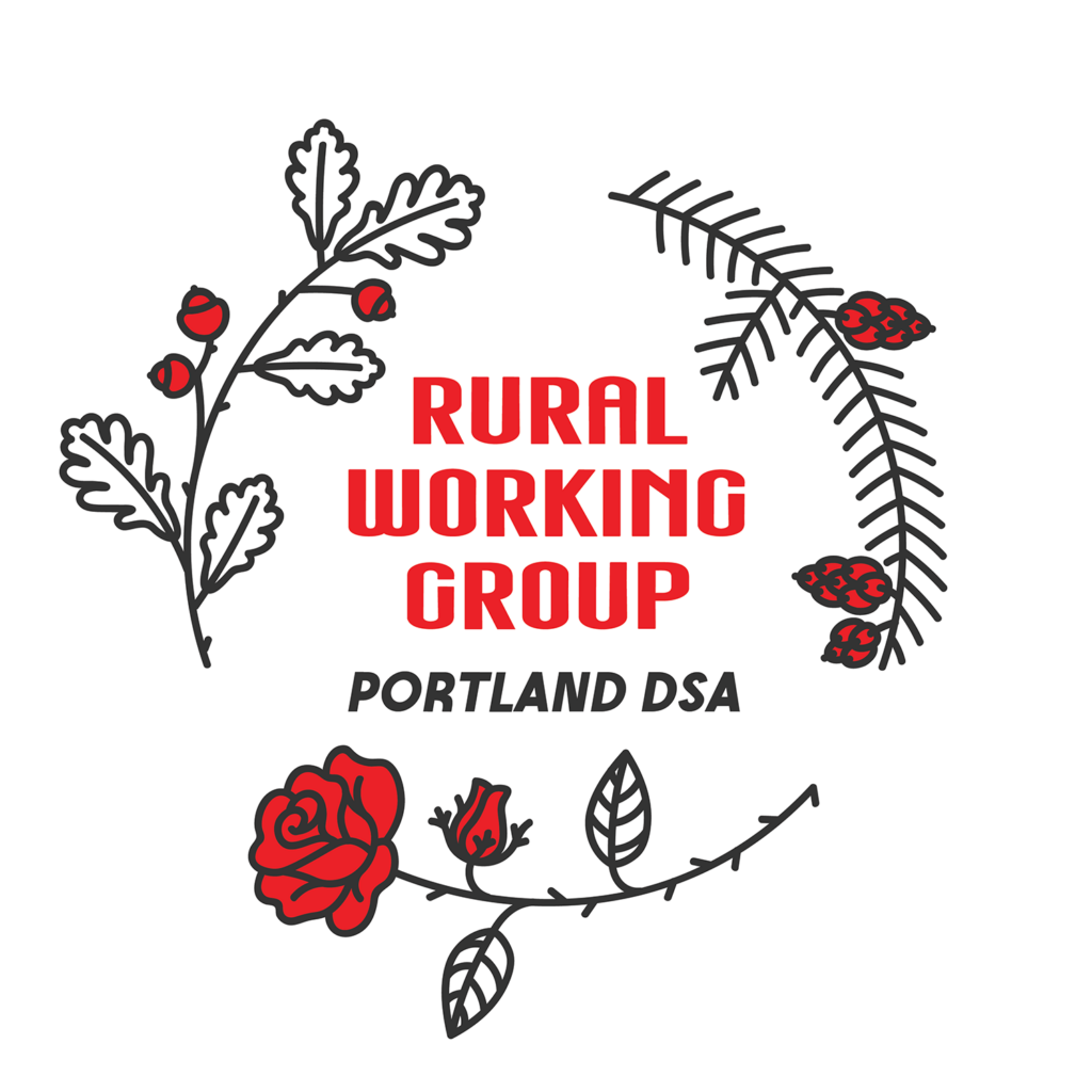 Working Groups - Portland DSA